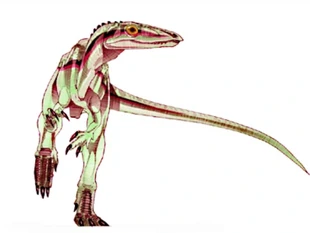Alwalkeria | Jurassic Park wiki | Fandom