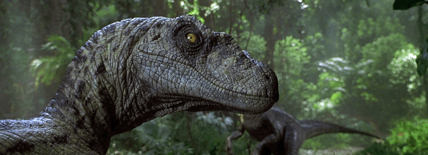Imagen - JP3 Raptor1.png | Jurassic Park Wiki | FANDOM powered by Wikia