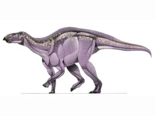 Eolambia | Jurassic Park wiki | Fandom
