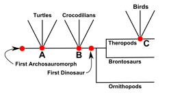 Which Dinosaurs Can Be Recreated? | Fandom