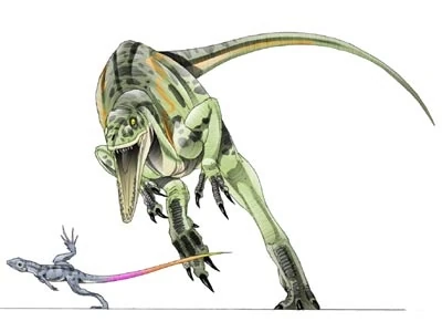 Coelurus | Jurassic Park Wiki | FANDOM powered by Wikia