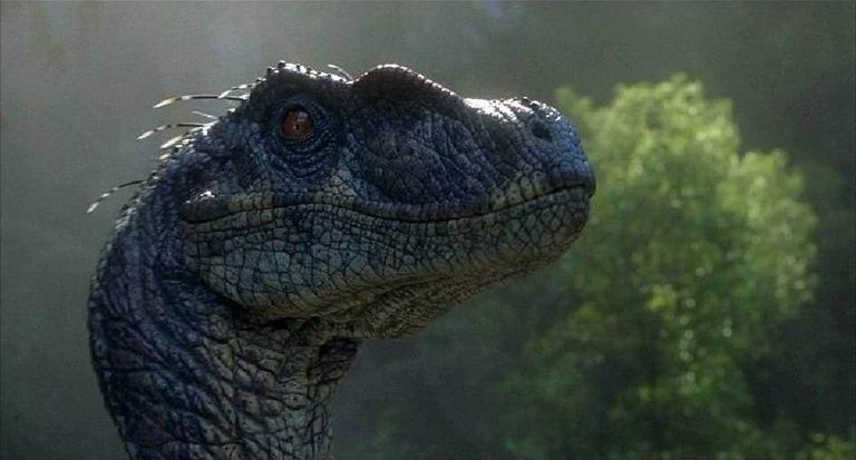 Velociraptor sornaensis | Jurassic Park Wiki | Fandom