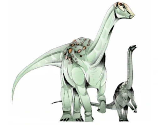 Ampelosaurus | Jurassic Park wiki | Fandom