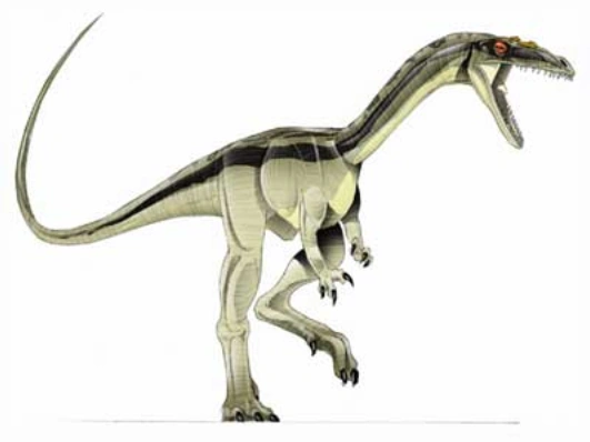 Procompsognathus | Jurassic Park wiki | Fandom