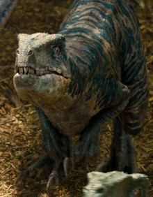 Echo | Jurassic Park Wiki | Fandom