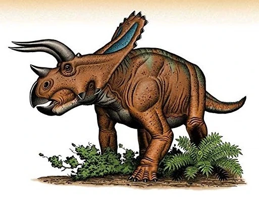 Arrhinoceratops | Jurassic Park Wiki | Fandom