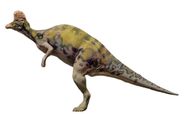 Corythosaurus | Jurassic Park wiki | Fandom