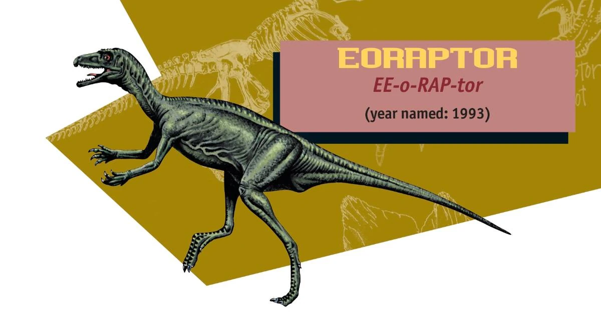Eoraptor | Jurassic Park wiki | Fandom