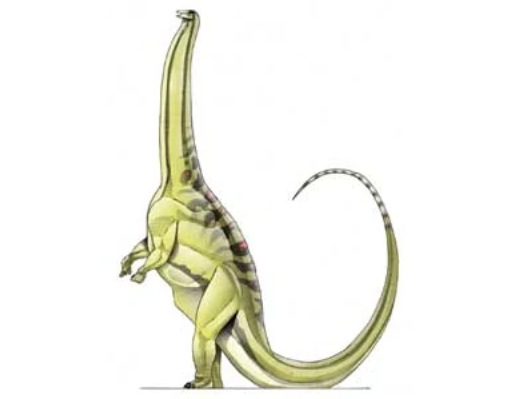 Brontosaurus | Jurassic Park wiki | Fandom