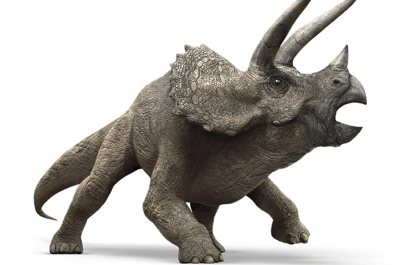 Triceratops Jurassic Park Wiki Fandom