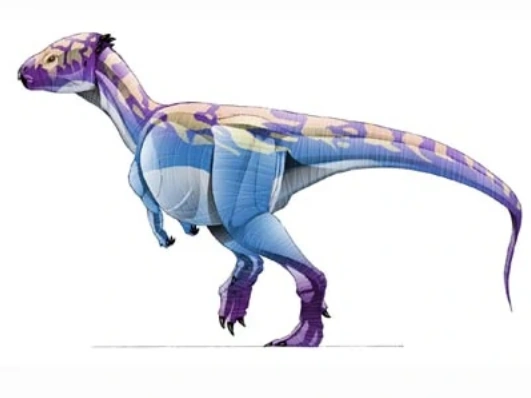 Homalocephale | Jurassic Park wiki | Fandom