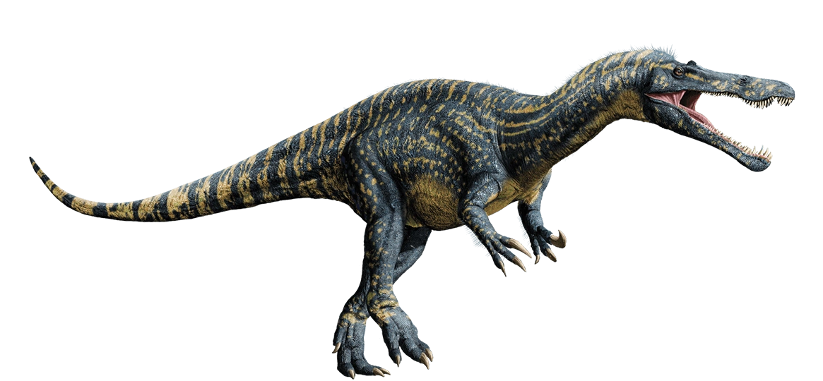 Suchomimus | JP-Wiki | Fandom