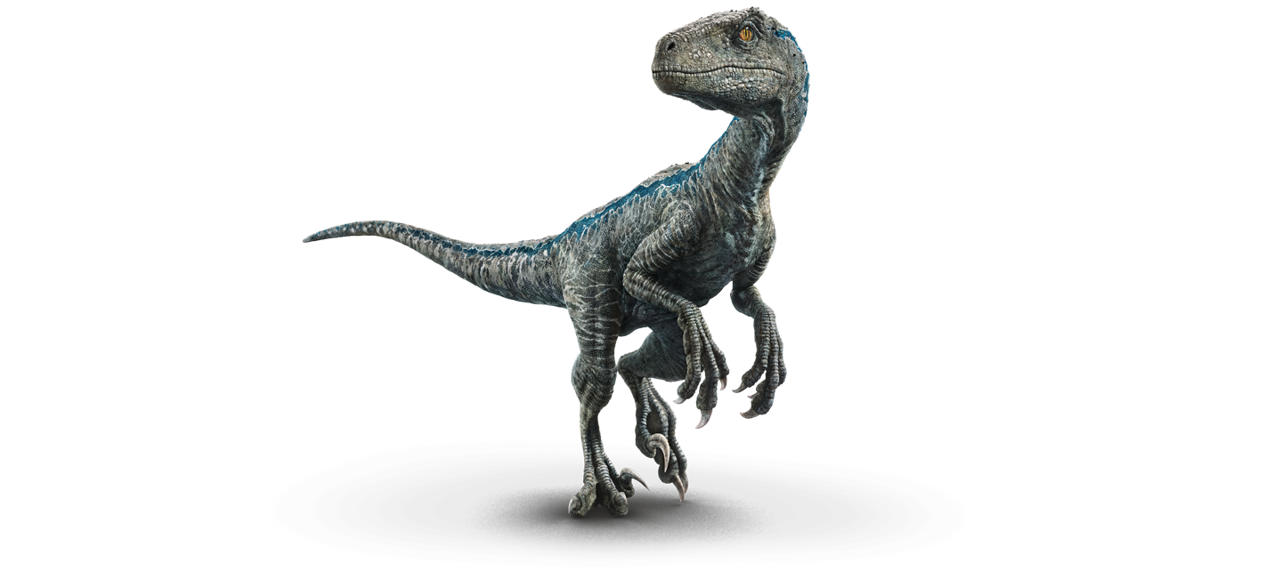 Image - 1440x651 0011 blue.png | Jurassic Park wiki | FANDOM powered by ...