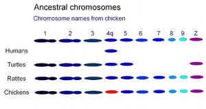 Dinosaur DNA | Jurassic Park wiki | Fandom