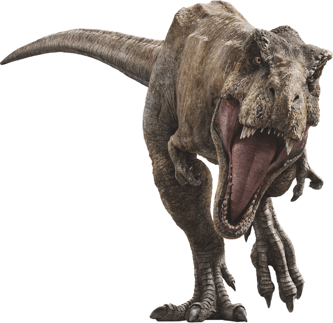 Изображение Jurassic World Fallen Kingdom Tyrannosaurus Rex By Sonichedgehog2 Dc9fqmipng