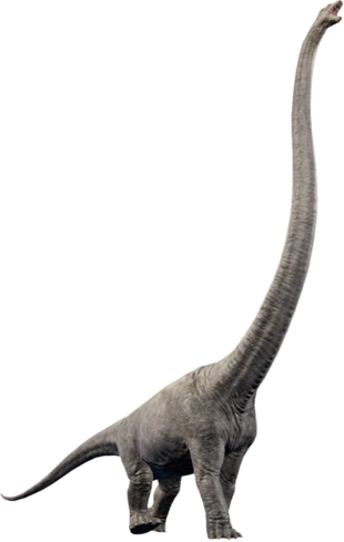 Mamenchisaurus | Jurassic Park Wiki | Fandom
