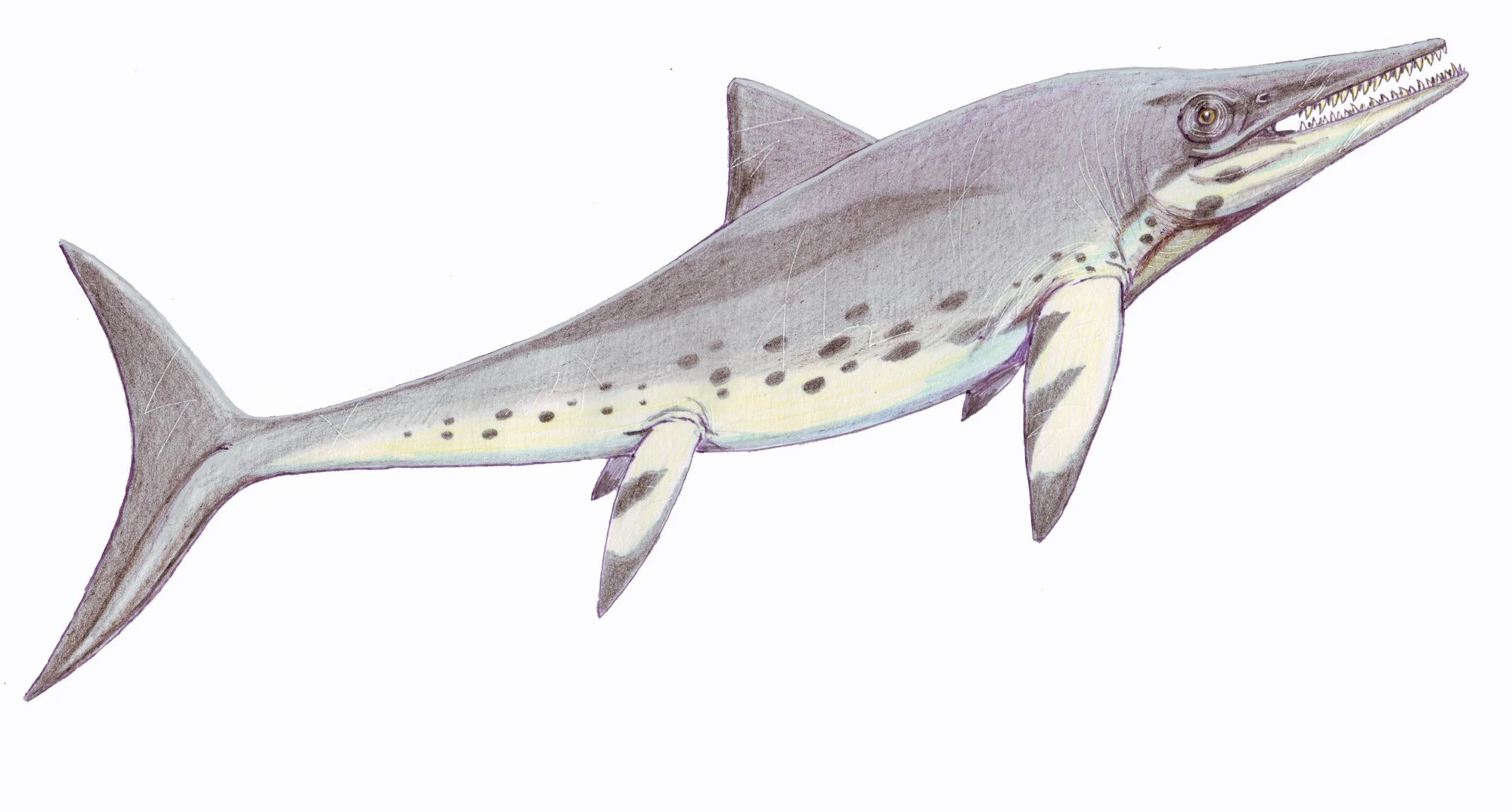 Temnodontosaurus | Jurassic Park wiki | Fandom