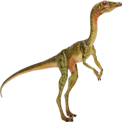 Compsognathus | Jurassic Park Wiki | FANDOM powered by Wikia