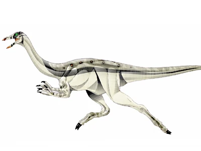 Archaeornithomimus | Jurassic Park wiki | FANDOM powered by Wikia