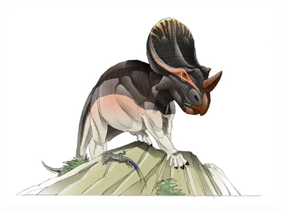 Brachyceratops | Jurassic Park Wiki | Fandom