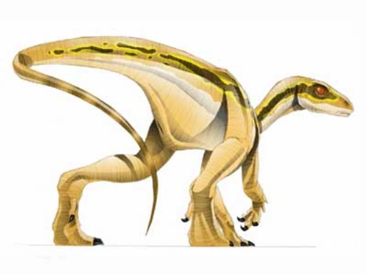 Pisanosaurus | Jurassic Park wiki | Fandom