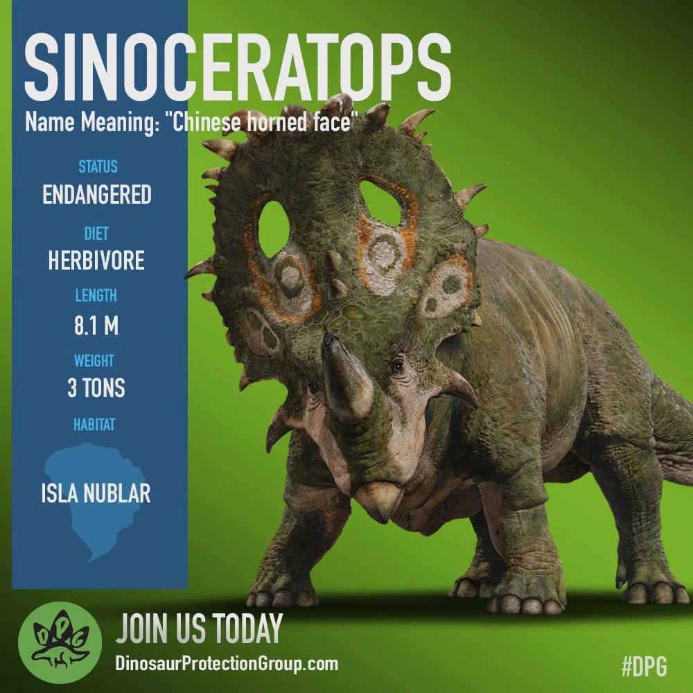 Sinoceratops | Jurassic Park Wiki | FANDOM powered by Wikia