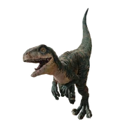 Echo | Jurassic Park wiki | Fandom