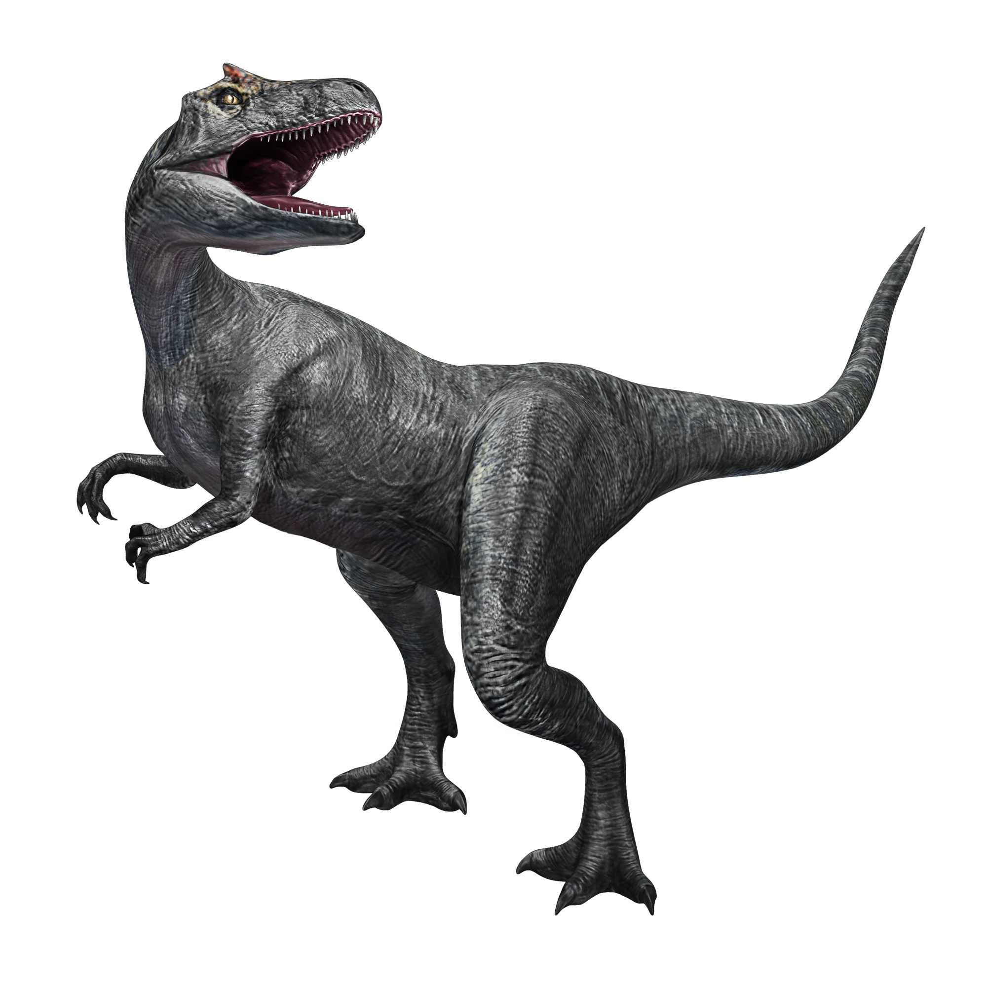 Categoría:Allosaurus | Jurassic Park Wiki | Fandom