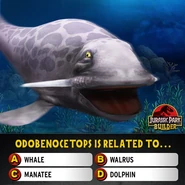 Odobenocetops | Jurassic Park wiki | Fandom