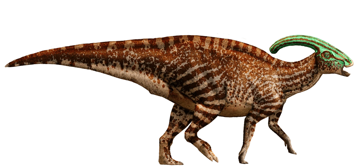 Imagen - Parasaurolophus-detail-header.png | Jurassic Park Wiki ...