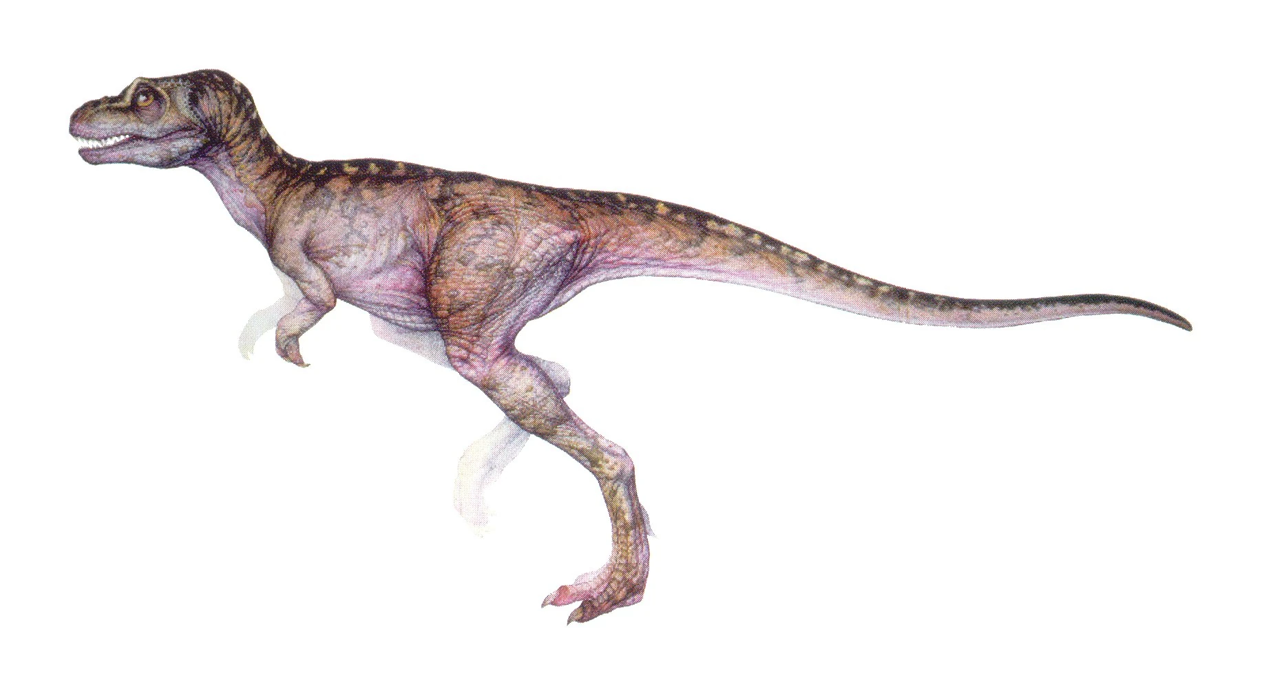 Imagen - T-rex infant.jpg | Jurassic Park Wiki | FANDOM powered by Wikia