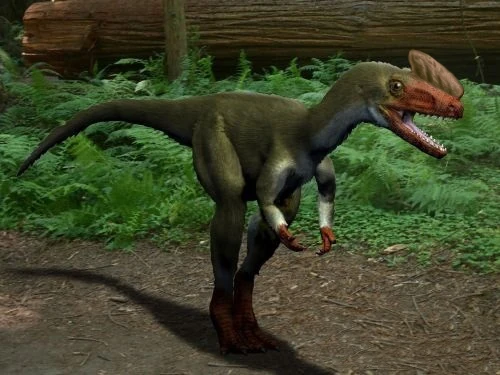 Proceratosaurus | JP-Wiki | Fandom