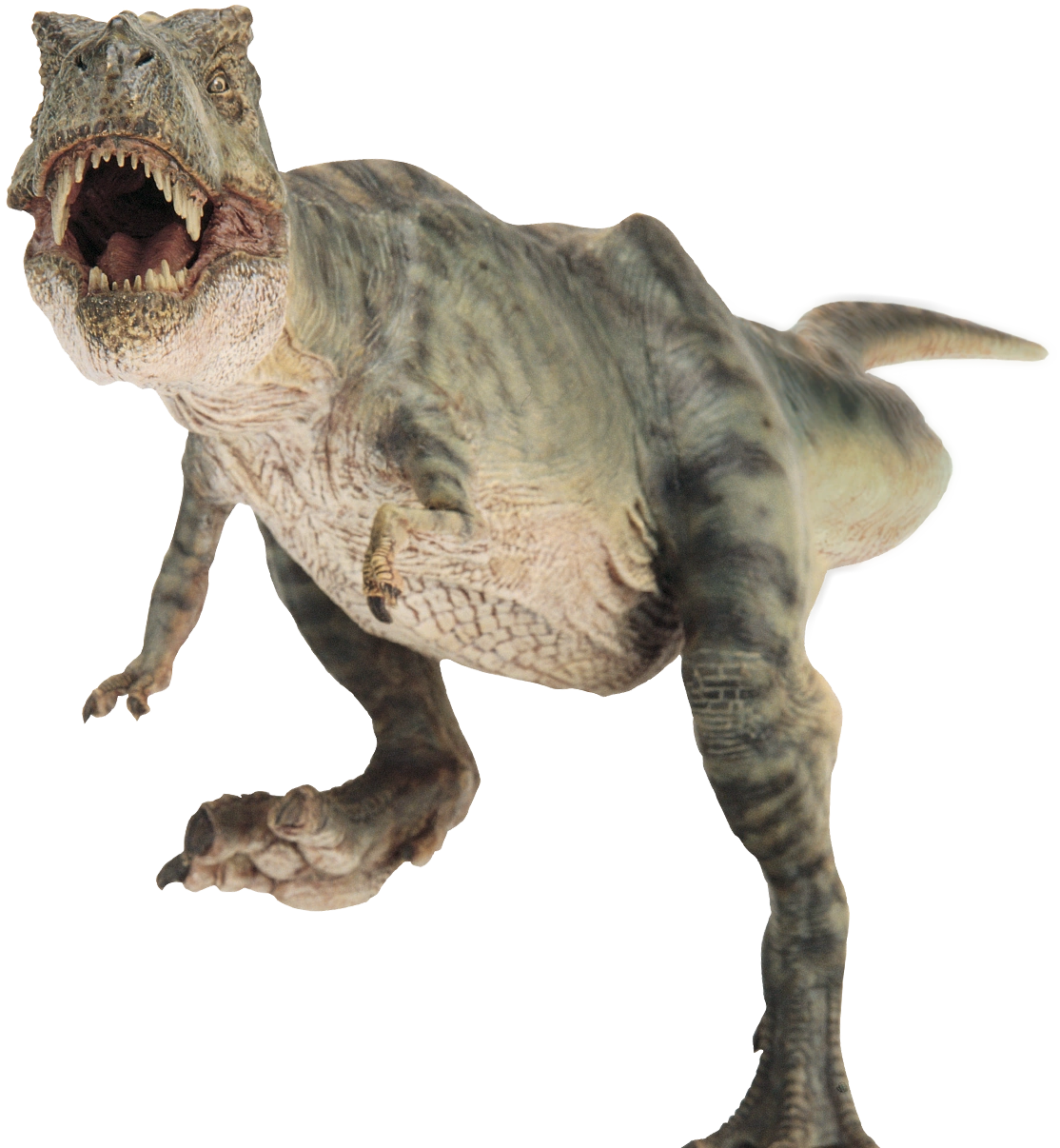 Freddy | Jurassic Park Wiki | Fandom