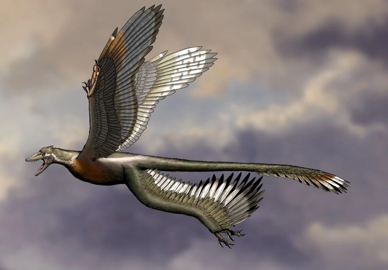 Microraptor | Jurassic Park Wiki | Fandom