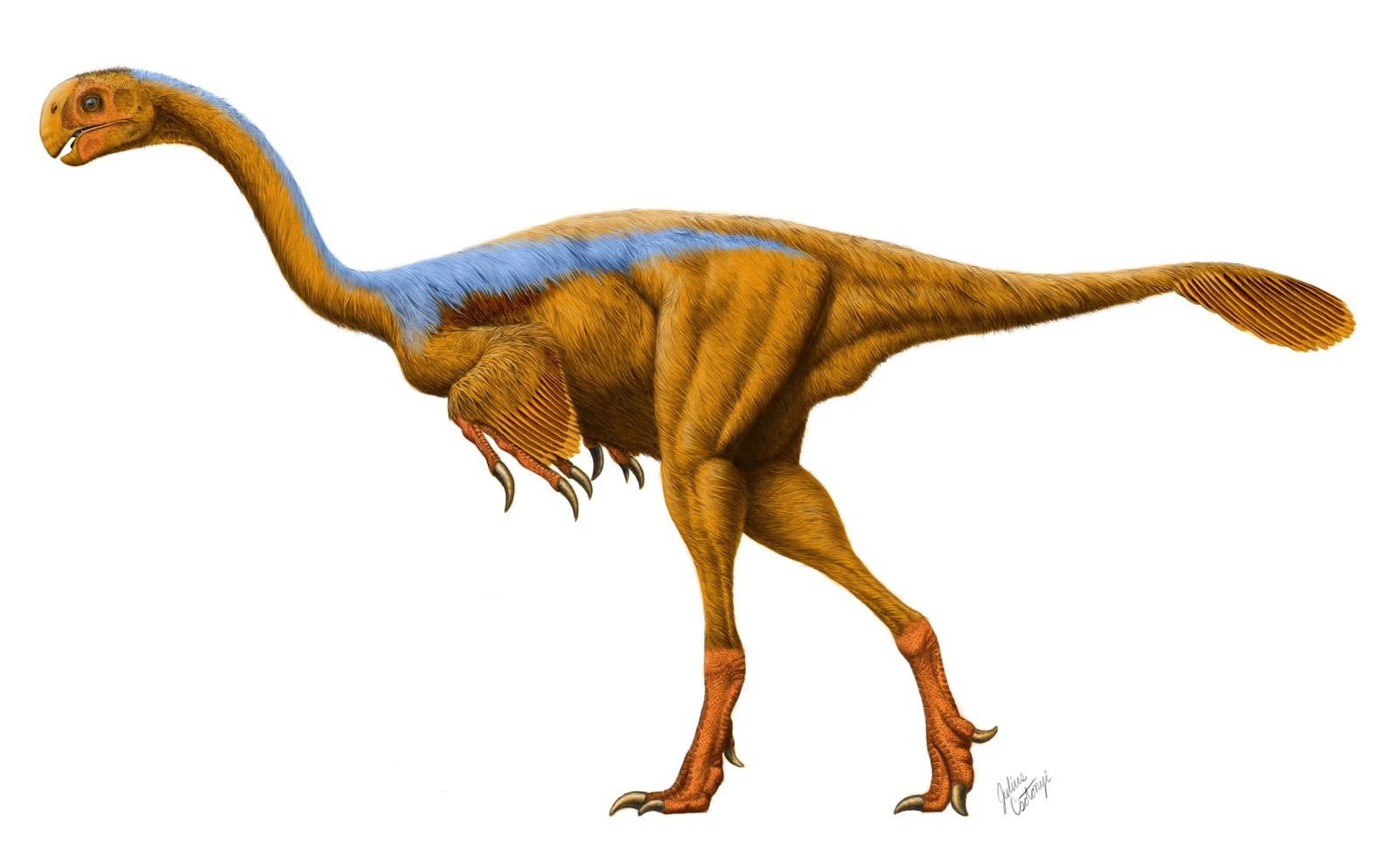 Gigantoraptor | Jurassic Park Wiki | Fandom