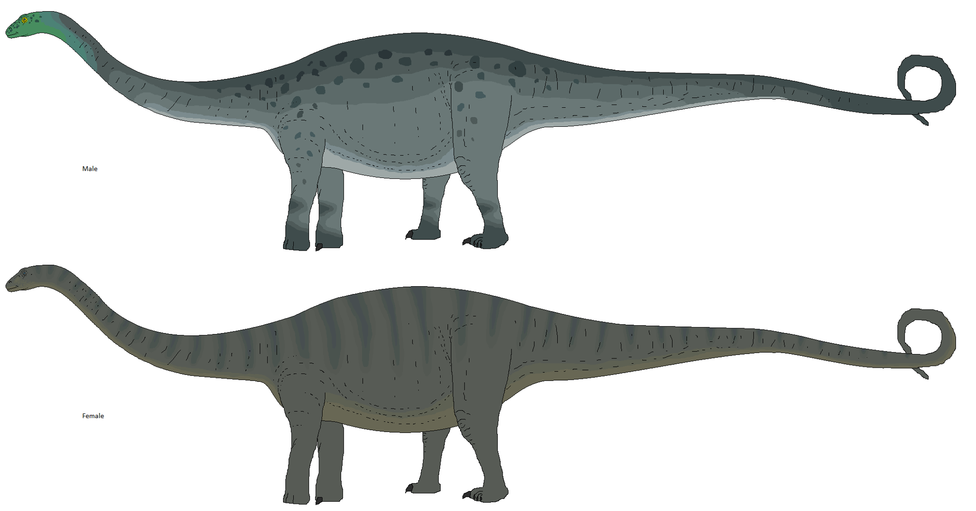 Apatosaurus | JurassiCraftMod Wikia | FANDOM powered by Wikia