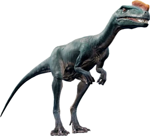 Proceratosaurus | Jurassic World Evolution Wiki | Fandom