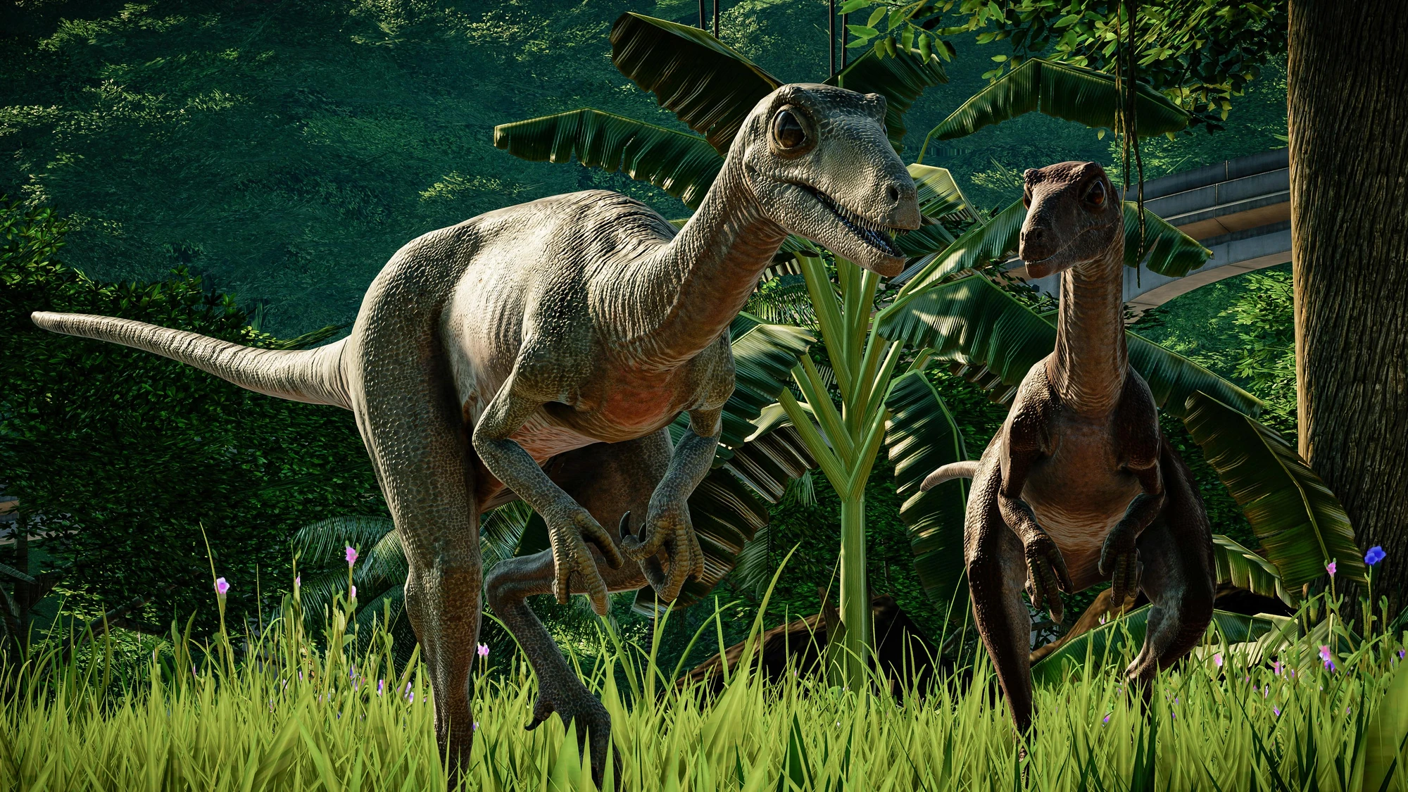 Troodon Taming | Jurassic World Evolution Wiki | Fandom