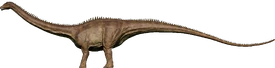 Diplodocus | Jurassic World Evolution Wiki | Fandom