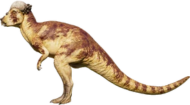 Pachycephalosaurus | Jurassic World Evolution Wiki | Fandom