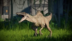 Spinoraptor | Jurassic World Evolution Wiki | Fandom