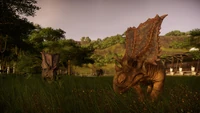 Chasmosaurus | Jurassic World Evolution Wiki | Fandom