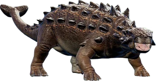 Euoplocephalus | Jurassic World Evolution Wiki | Fandom