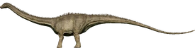 Diplodocus | Jurassic World Evolution Wiki | Fandom