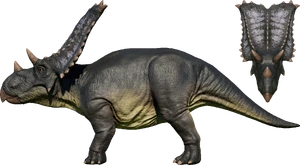 Chasmosaurus | Jurassic World Evolution Wiki | FANDOM powered by Wikia