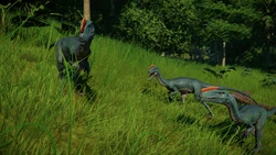 Proceratosaurus | Jurassic World Evolution Wiki | Fandom