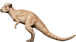 Pachycephalosaurus | Jurassic World Evolution Wiki | FANDOM powered by ...