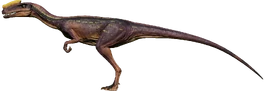 Proceratosaurus | Jurassic World Evolution Wiki | Fandom
