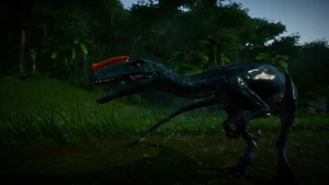Proceratosaurus | Jurassic World Evolution Wiki | FANDOM powered by Wikia