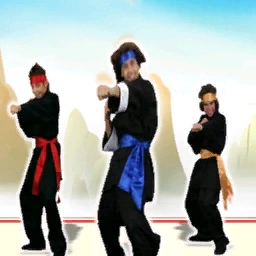 Kung Fu Fighting | Just Dance Music Wiki | Fandom